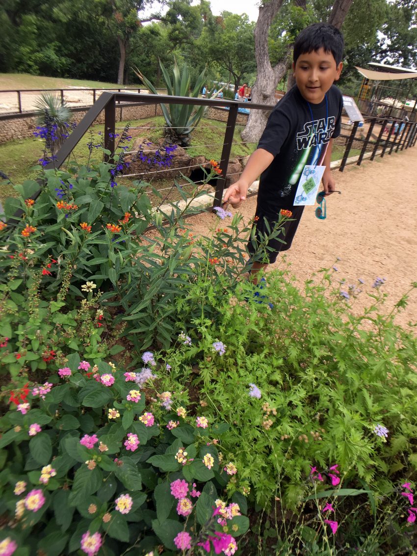 Make the Drive for Summer Fun at the Science Mill in Johnson City, TX ...