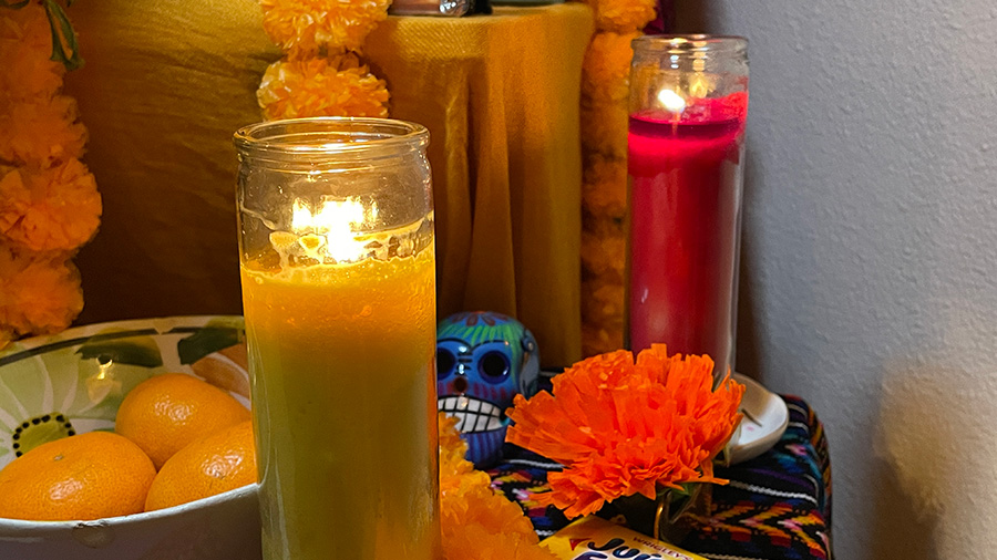 Dia de Muertos Ofrenda: Make It Your Own with 8 Essential Elements ...